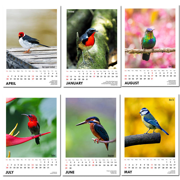 Desk Calendar 2026 - Winged Beauties, Birds by Tallenge Store | Buy ...