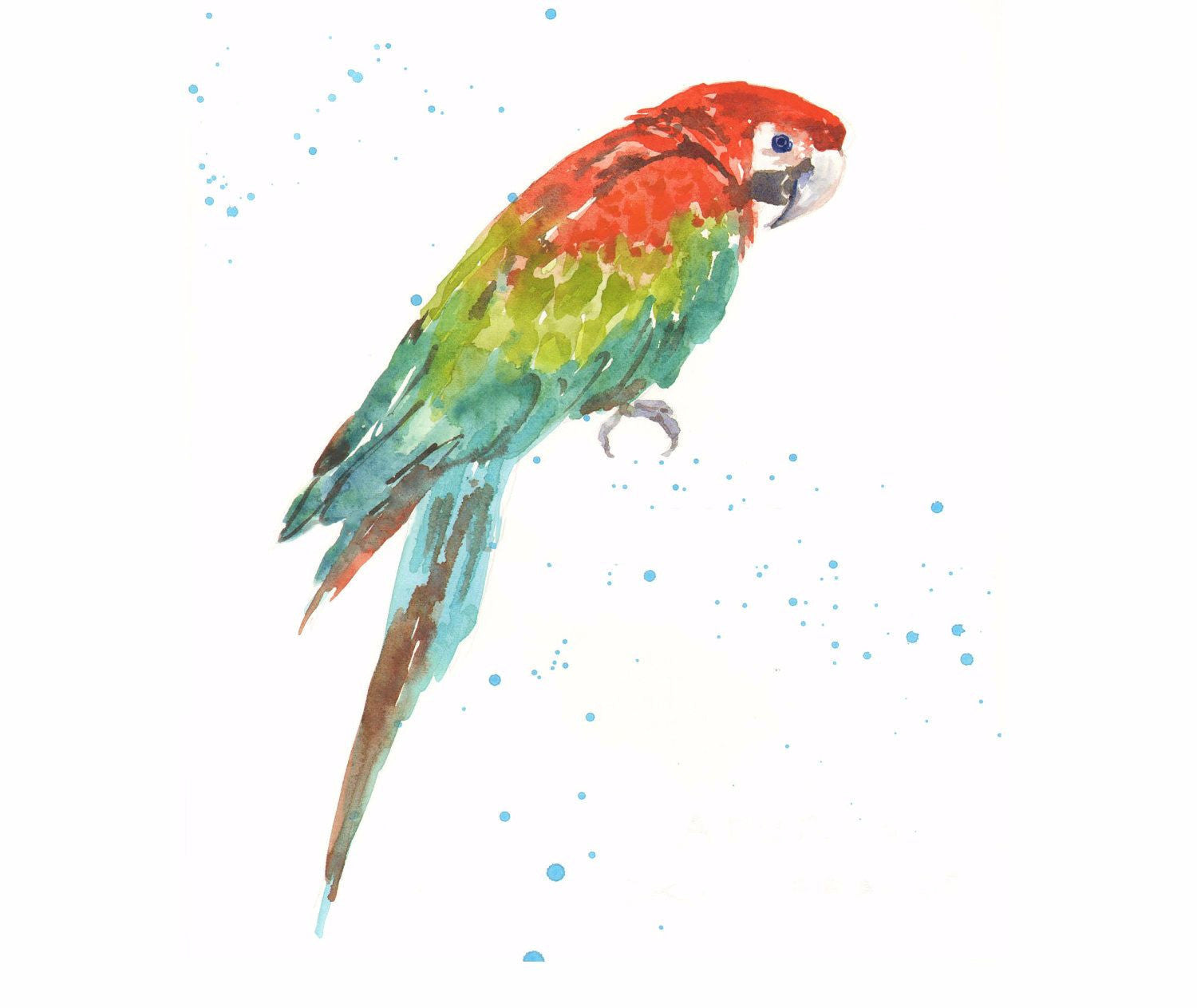 Colorful Parrot - Posters by William J. Smith | Buy Posters, Frames ...