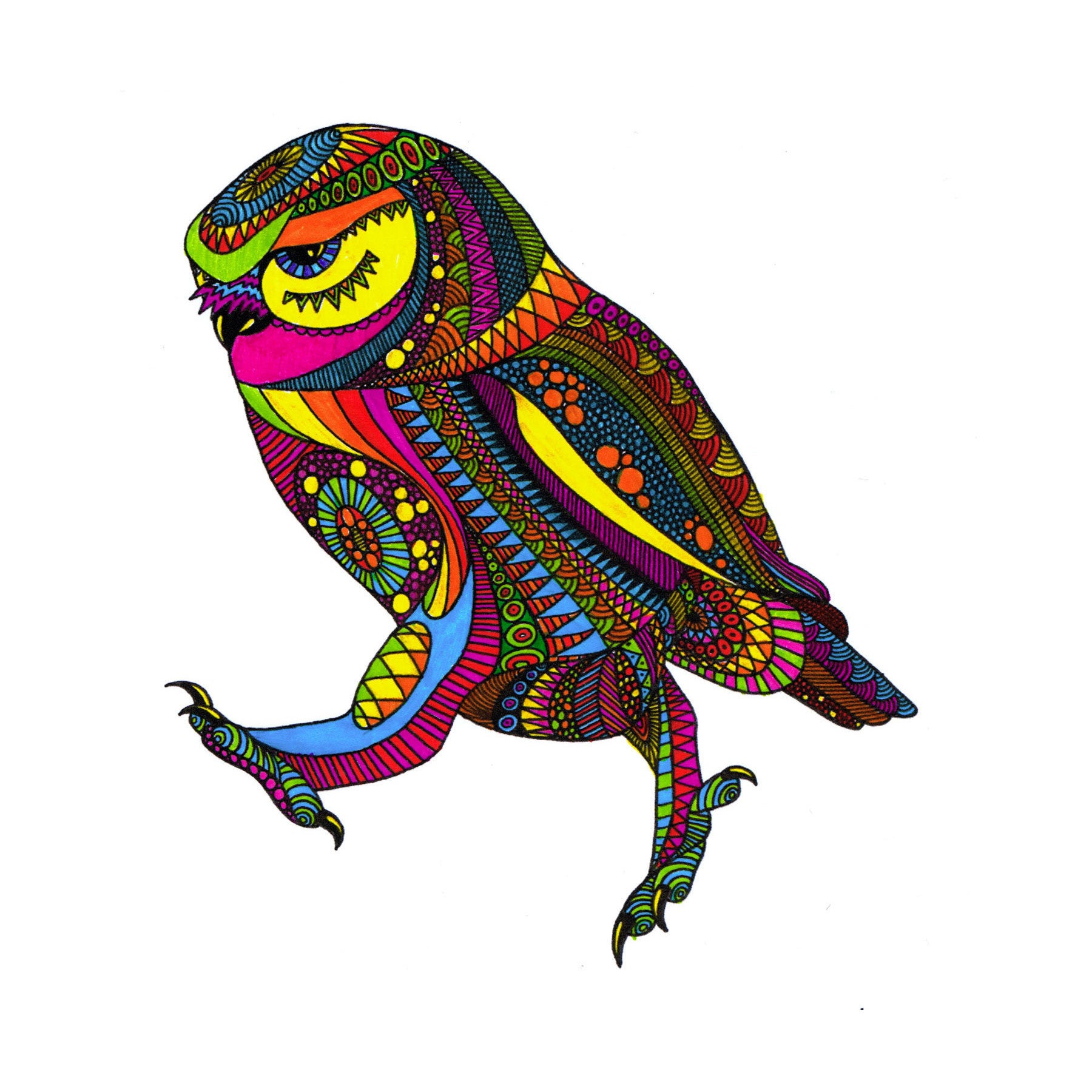 Colorful Night Animal - Posters by Christopher Noel | Buy Posters ...