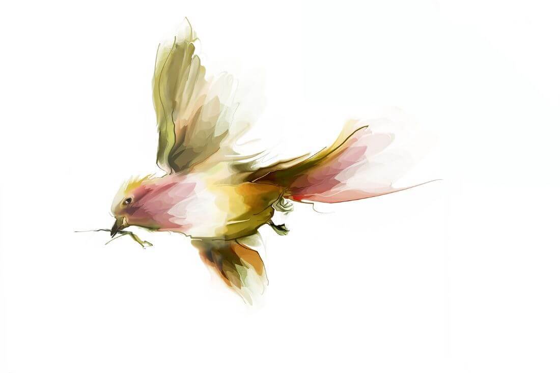 Flying Bird - Contemporary Painting - Bird Wildlife Art Print Poster ...