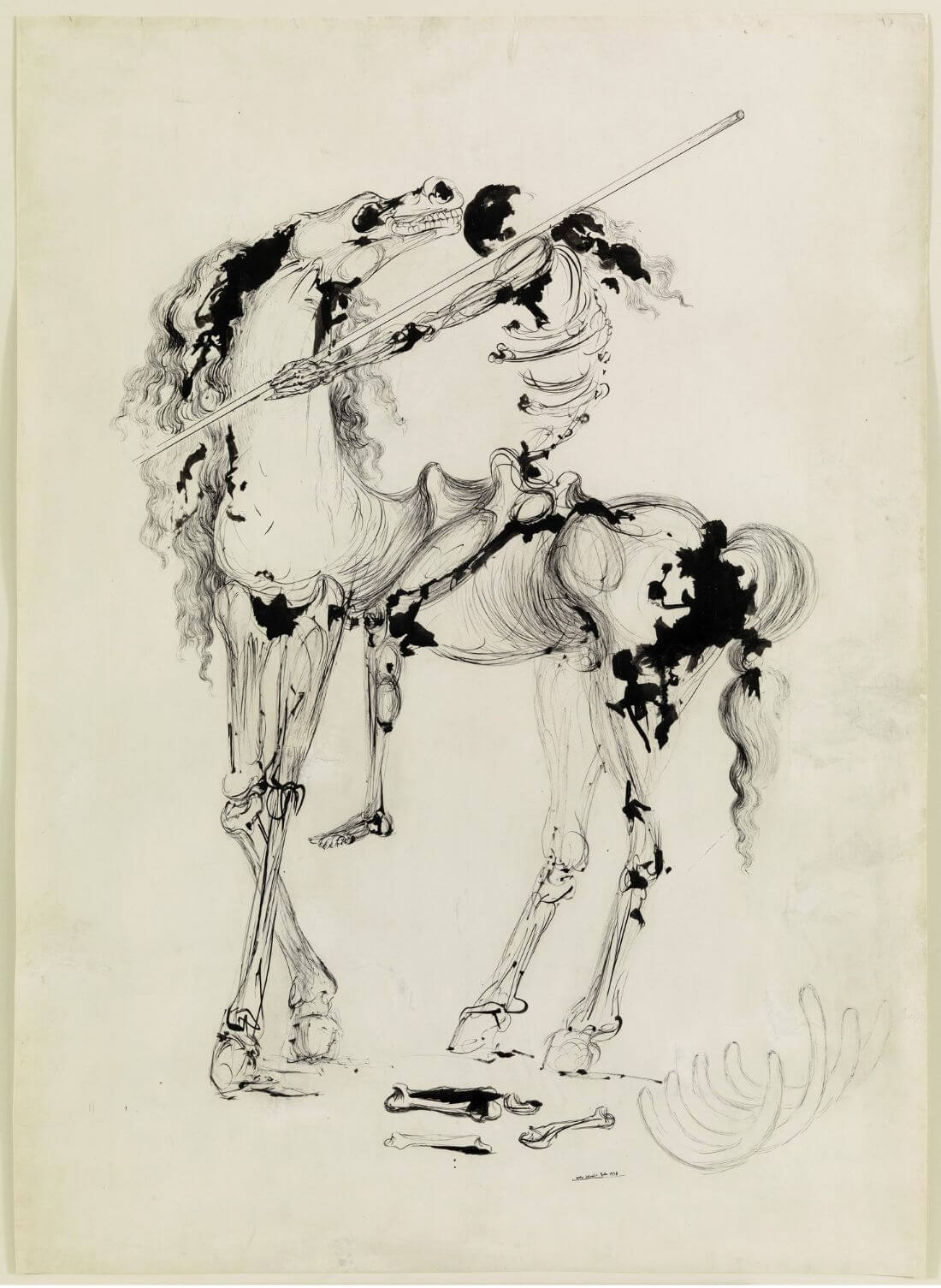 Dali Drawings