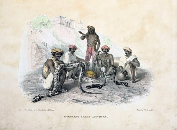Itinerant Snake Catchers - Major John Luard - Vintage Orientalist ...