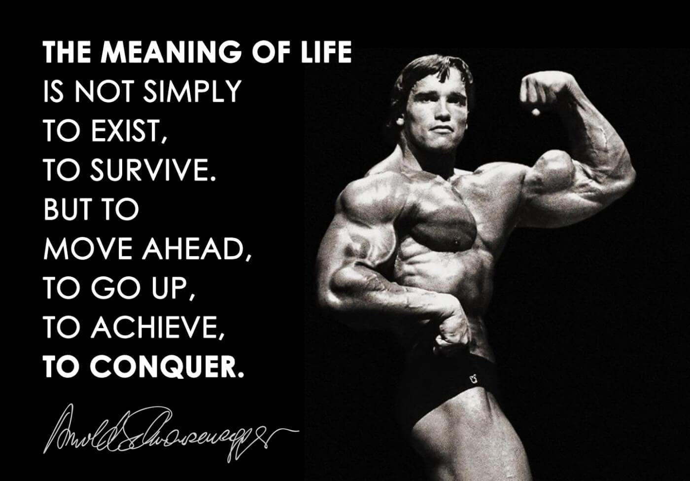 conquer arnold