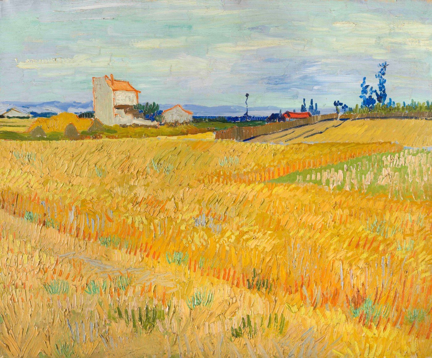 Yellow field - Large Art Prints by Vincent Van Gogh | Buy Posters ...